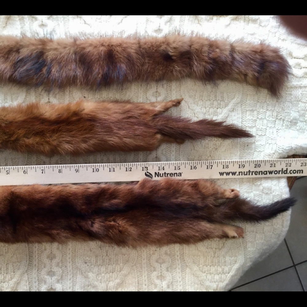 Beautiful Mink Collar Full Body Mink Vintage - Gem